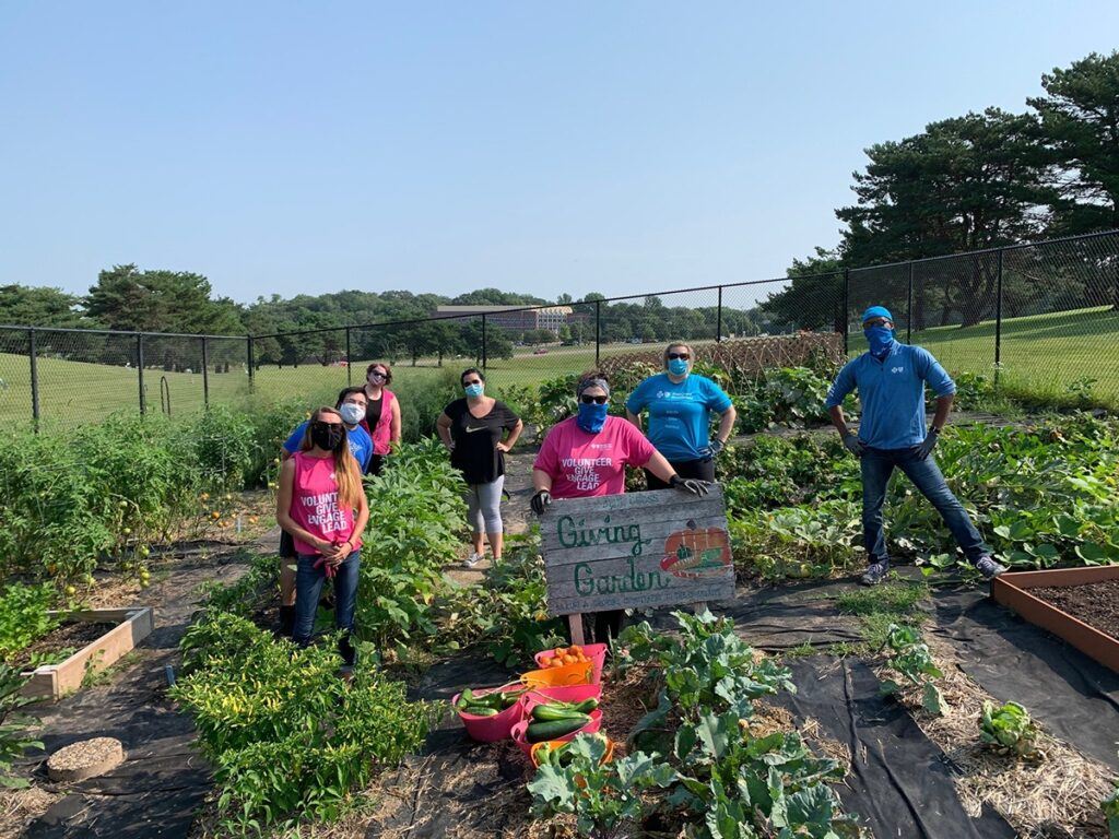 Blue Cross: Leveraging organizational assets to invest in healthy ...